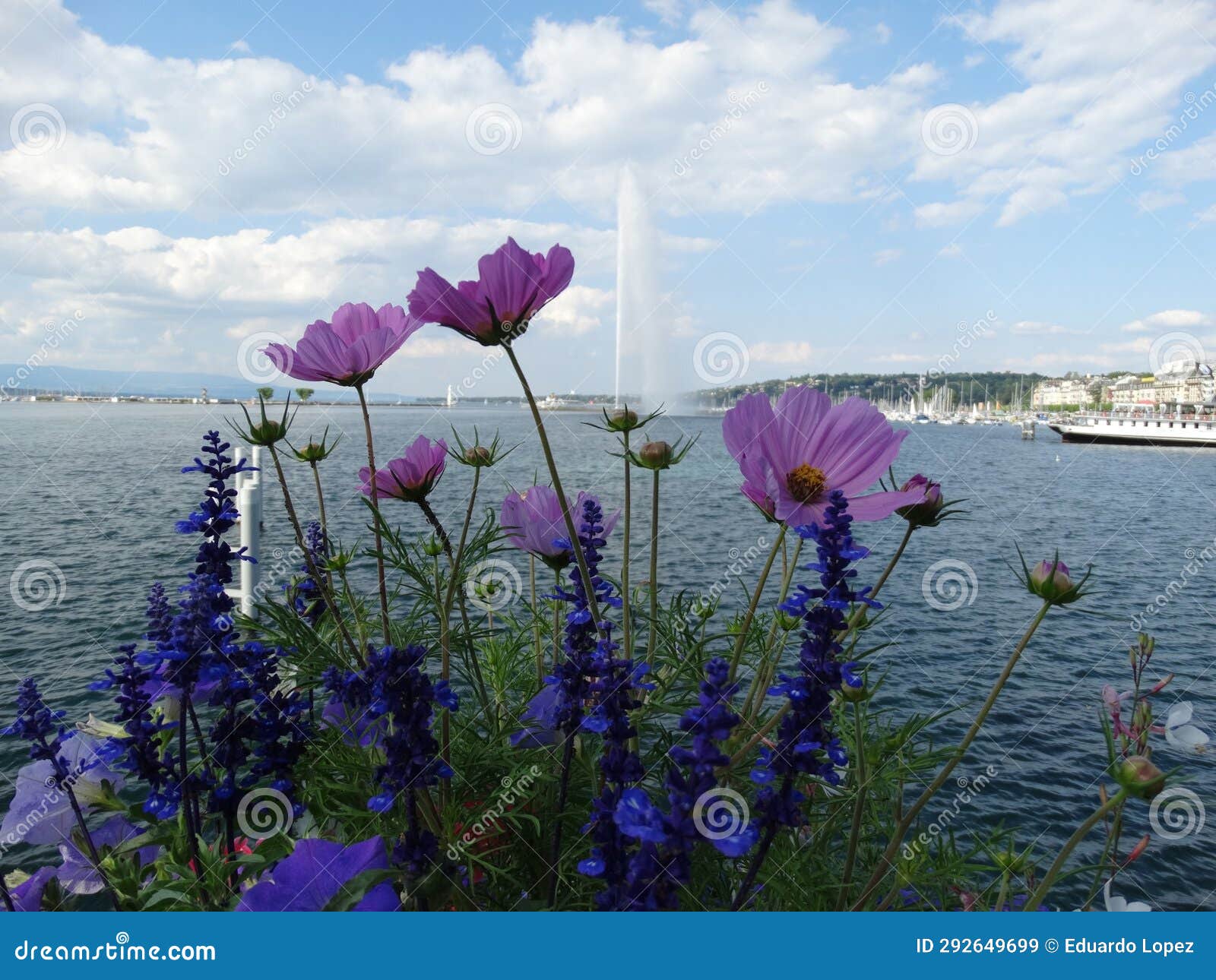 Famous Fountain or Water Jet in Geneva. Stock Image - Image of famous ...