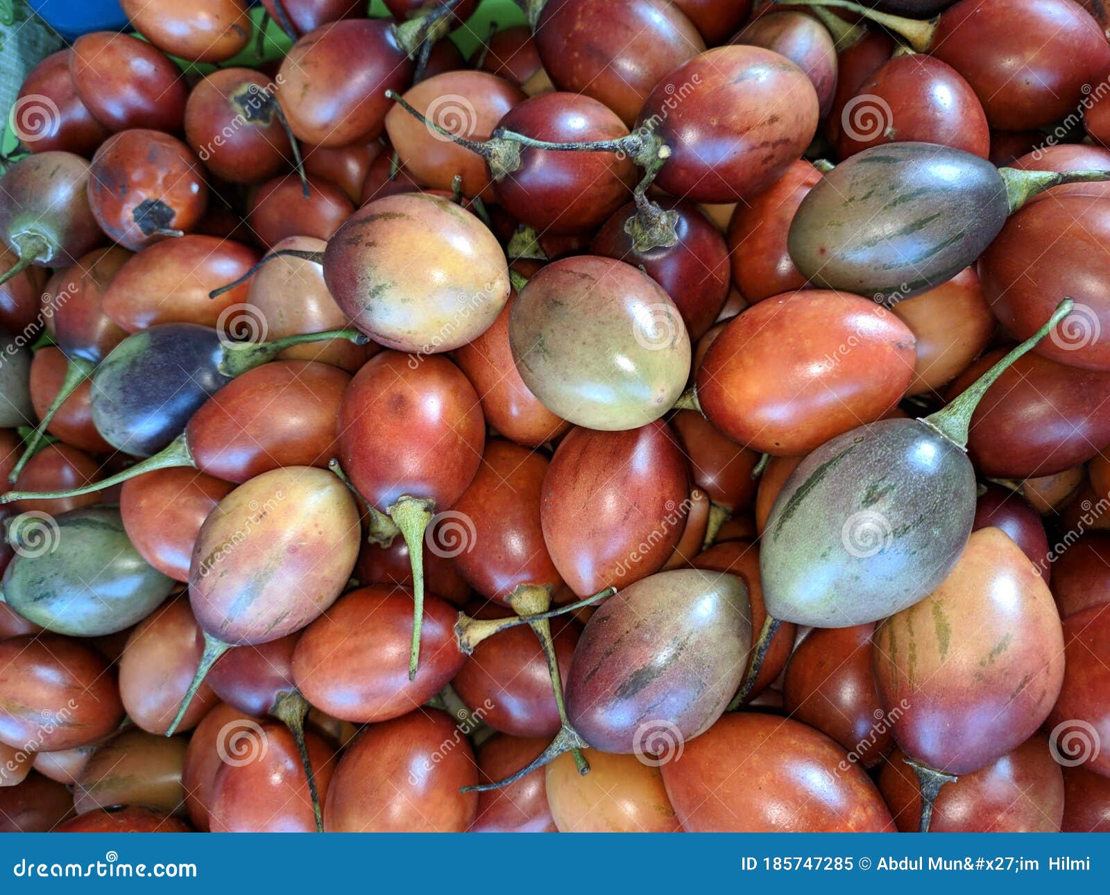 Famous fruit at Sabah stock image. Image of closeup - 185747285