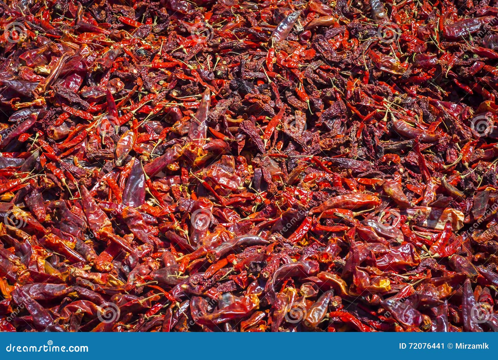 Famous gondal red chillies stock image. Image of chilies - 72076441