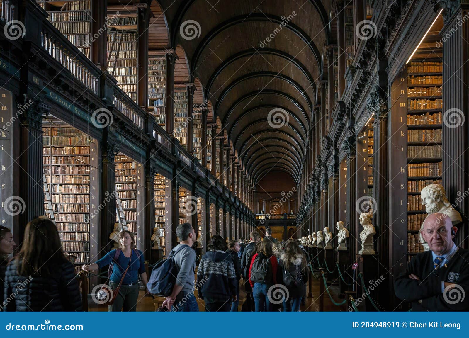 The Famous Interior View of the Book of Kells of Trinity College ...