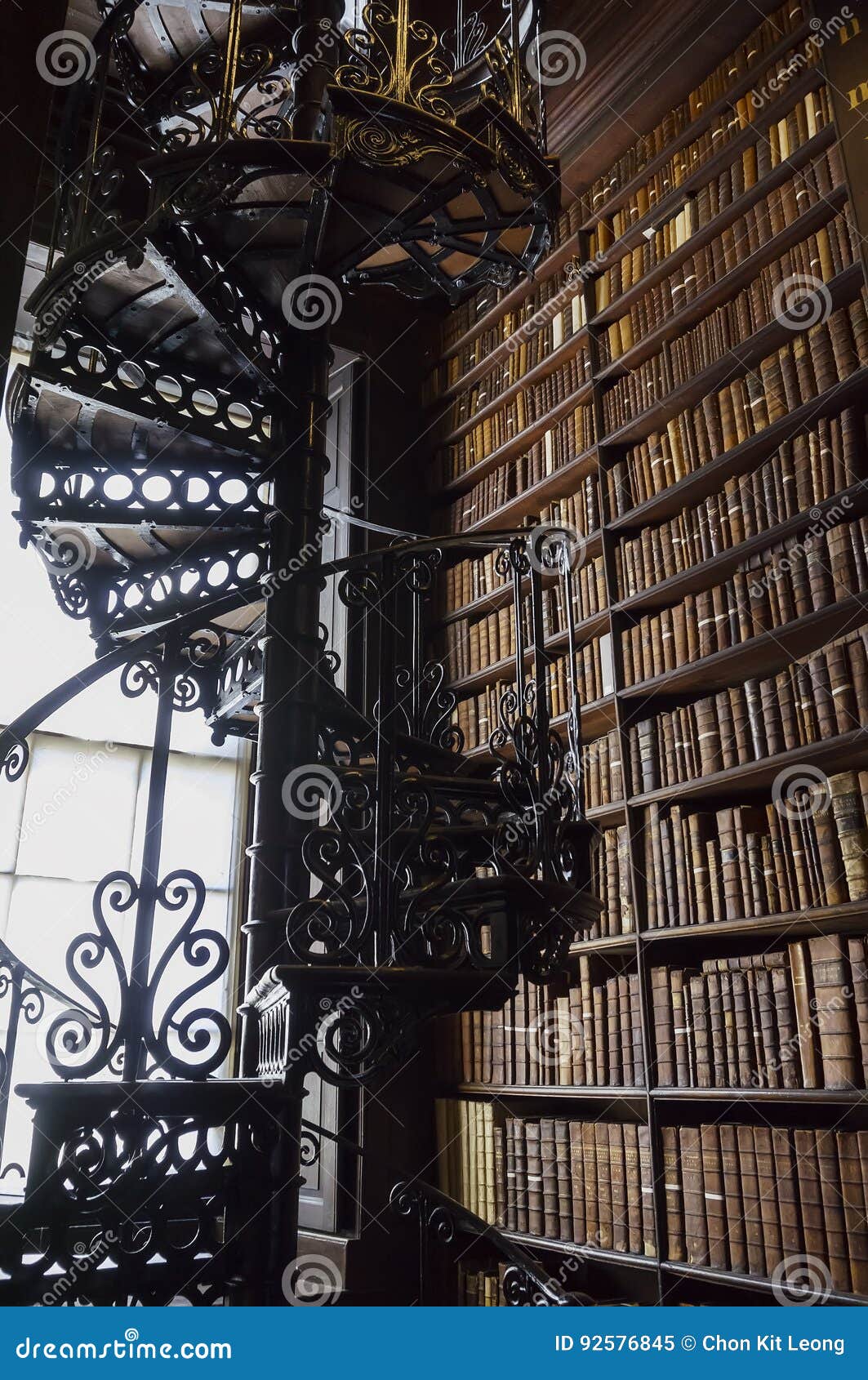 The Famous Interior View of the Book of Kells of Trinity College ...