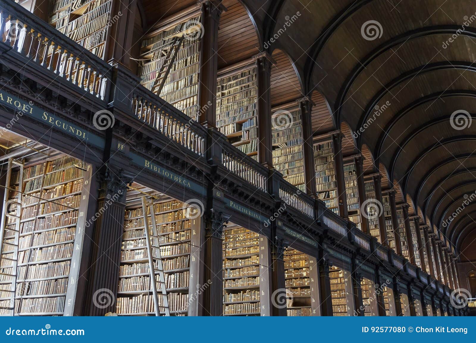 The Famous Interior View of the Book of Kells of Trinity College ...