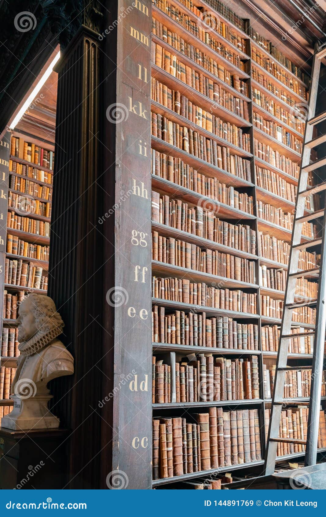 The Famous Interior View of the Book of Kells of Trinity College ...