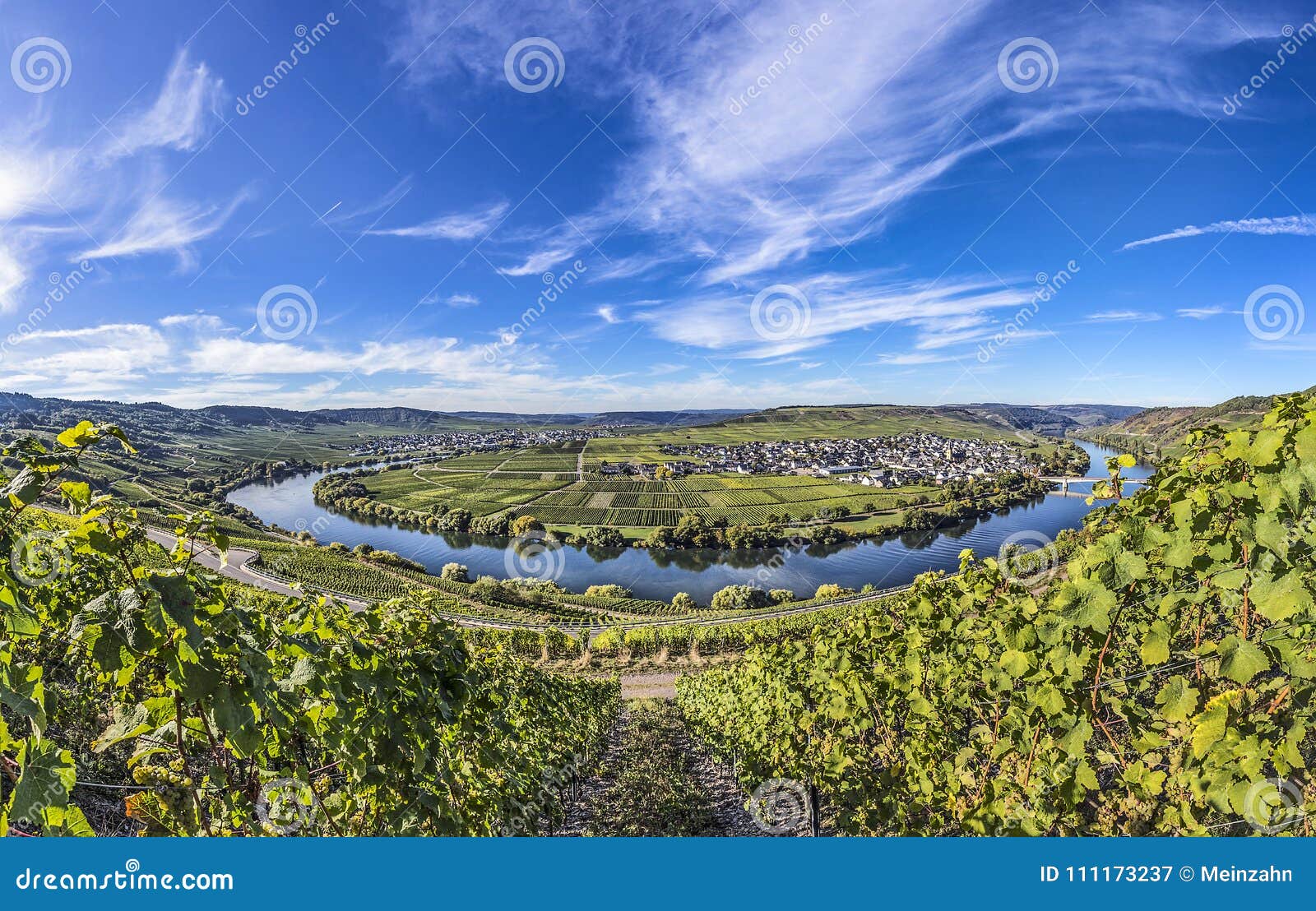 Famous Moselle River Loop in Trittenheim Stock Image - Image of grapes ...