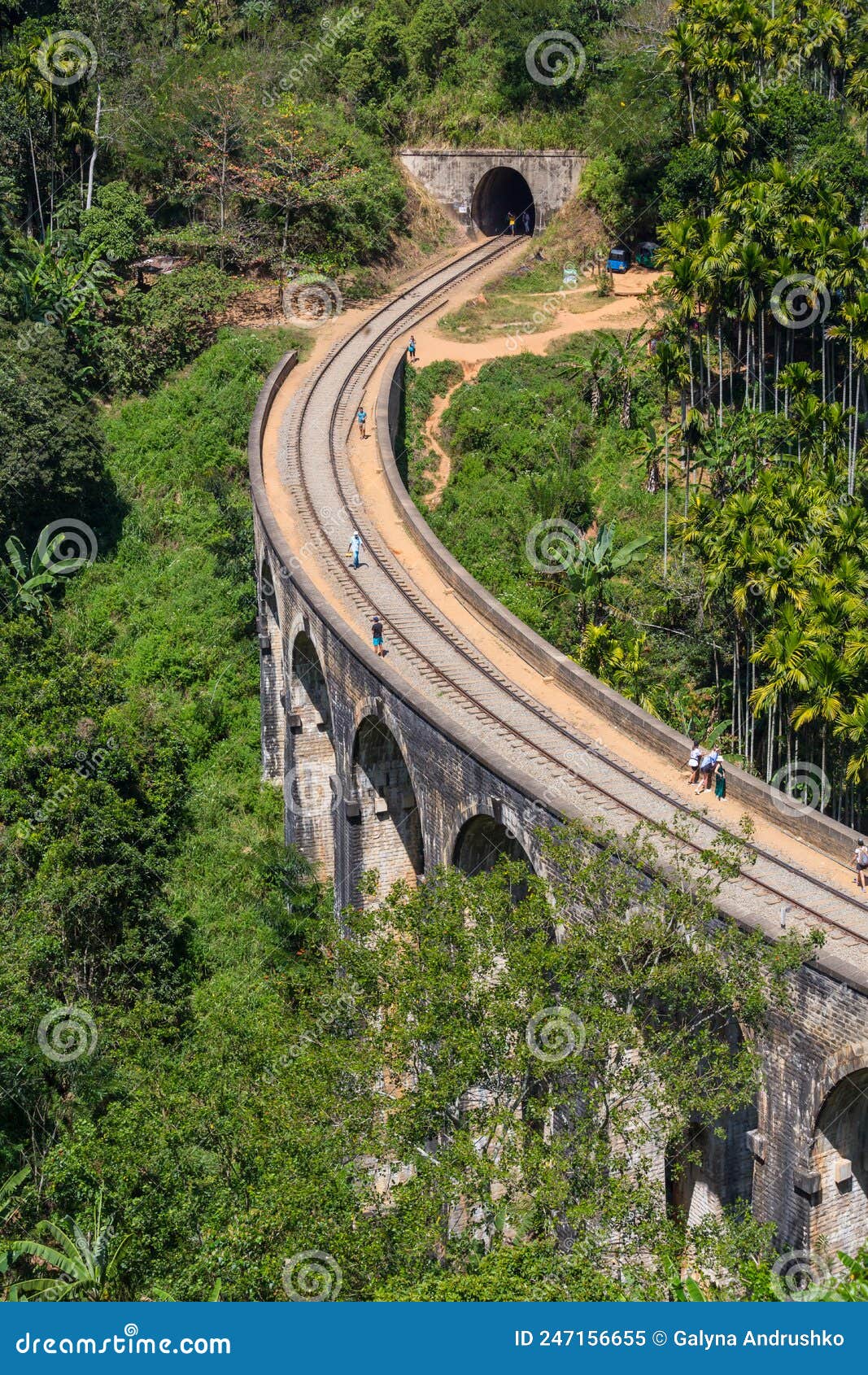 Bridge on Sri Lanka editorial image. Image of asia, flora - 247156655