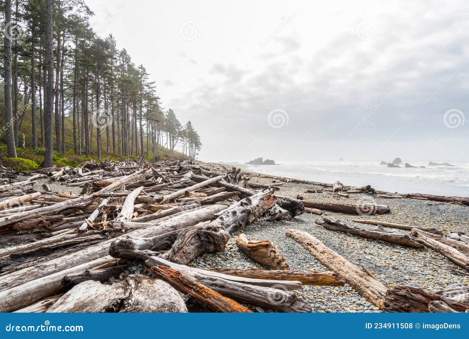 Famous Ruby Beach on the Pacific Coast, Olympic National Park Stock ...