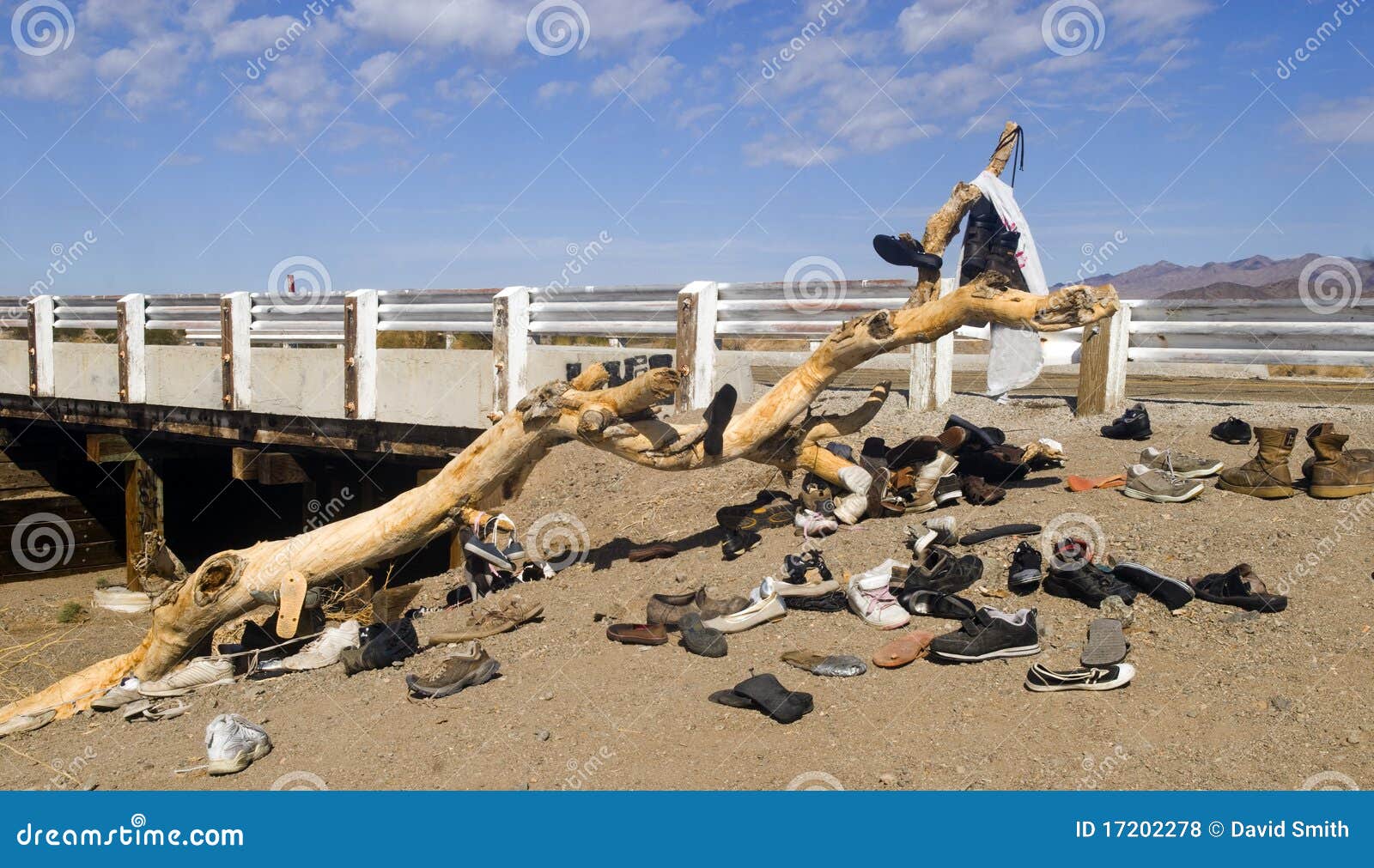 Famous Shoe Tree in Amboy, California Stock Photo - Image of road ...