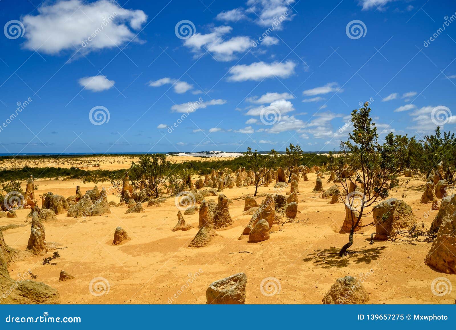 Famous Standing Rock Formations at the Pinnacles Desert in Western ...
