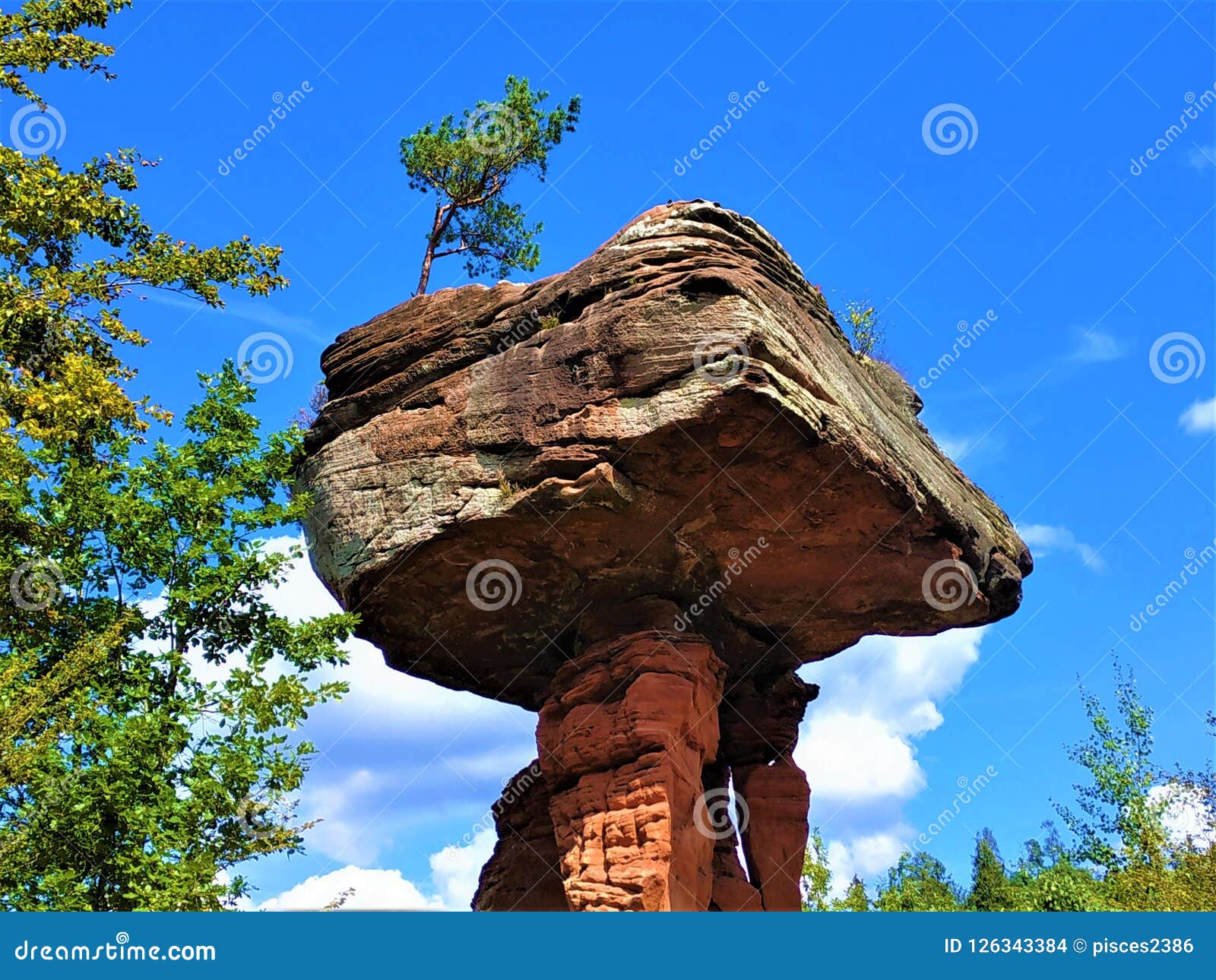 Famous View on the Devil`s Table in Hinterweidenthal Stock Photo ...