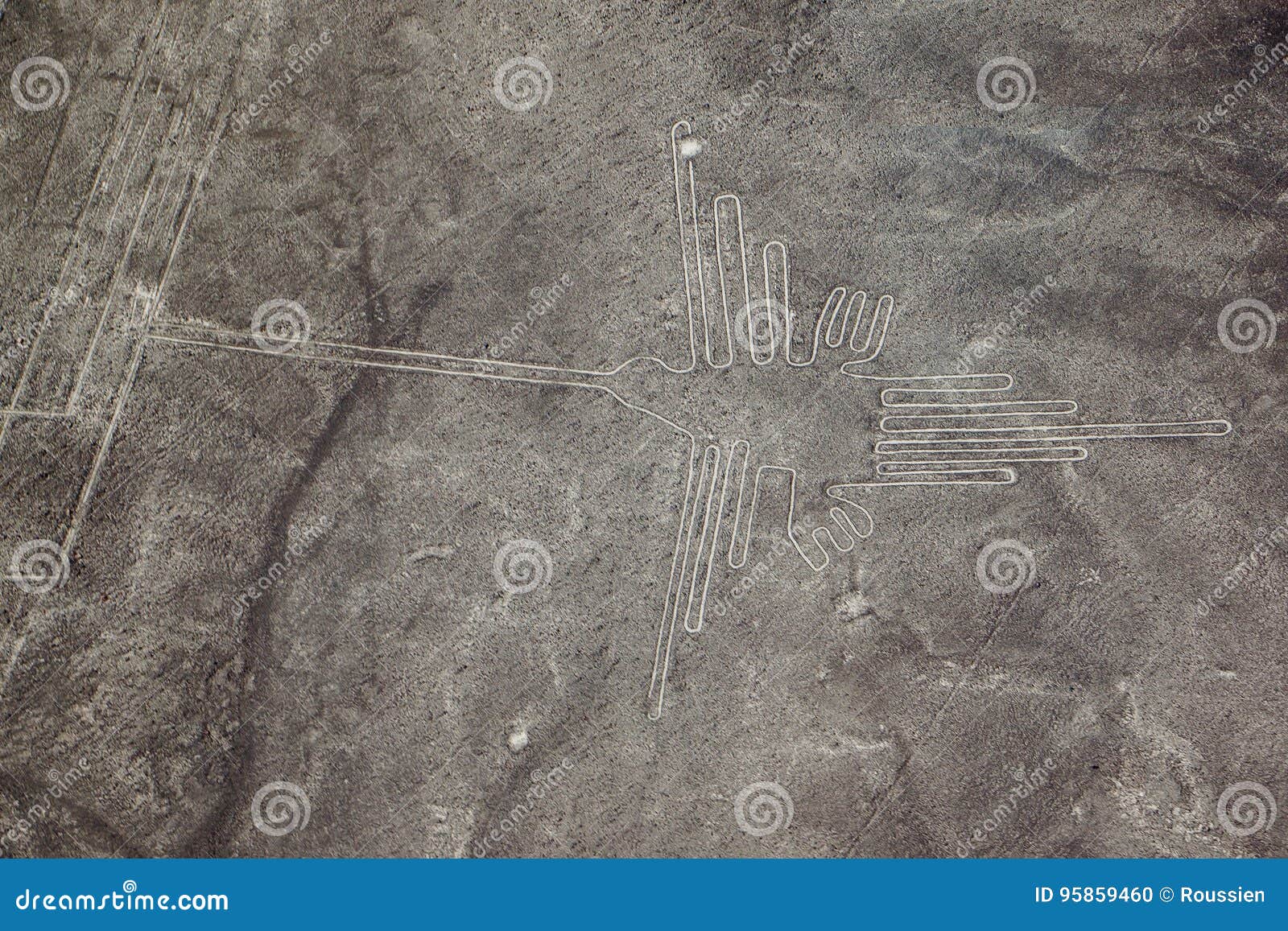 The Palpa Hummingbird, Nazca Lines, Southern Peru Royalty-Free Stock ...