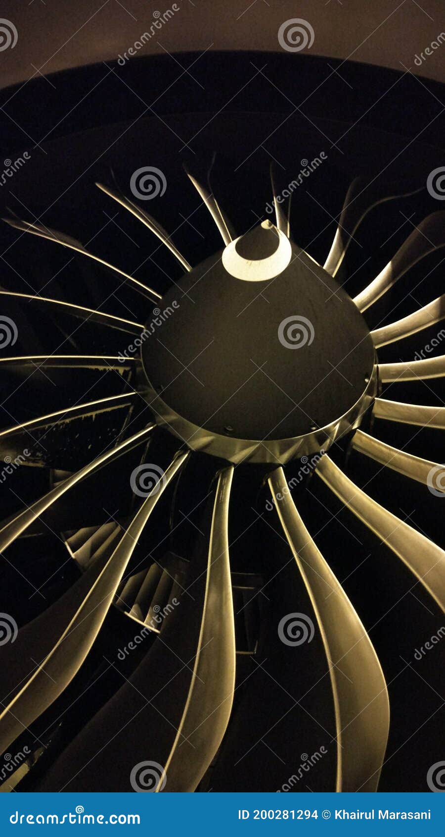 Fan Blade Engine Boeing 737 Max Stock Photo - Image of boeing, blade ...