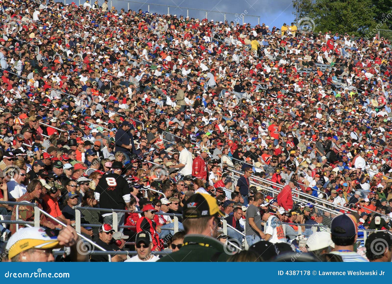 Fan Faces 2 editorial stock photo. Image of sprint, nascar - 4387178