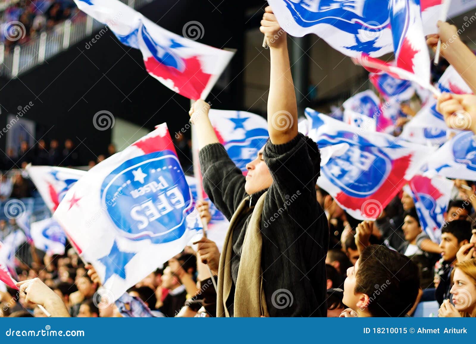 Fan with flags editorial image. Image of pilsen, indoor - 18210015