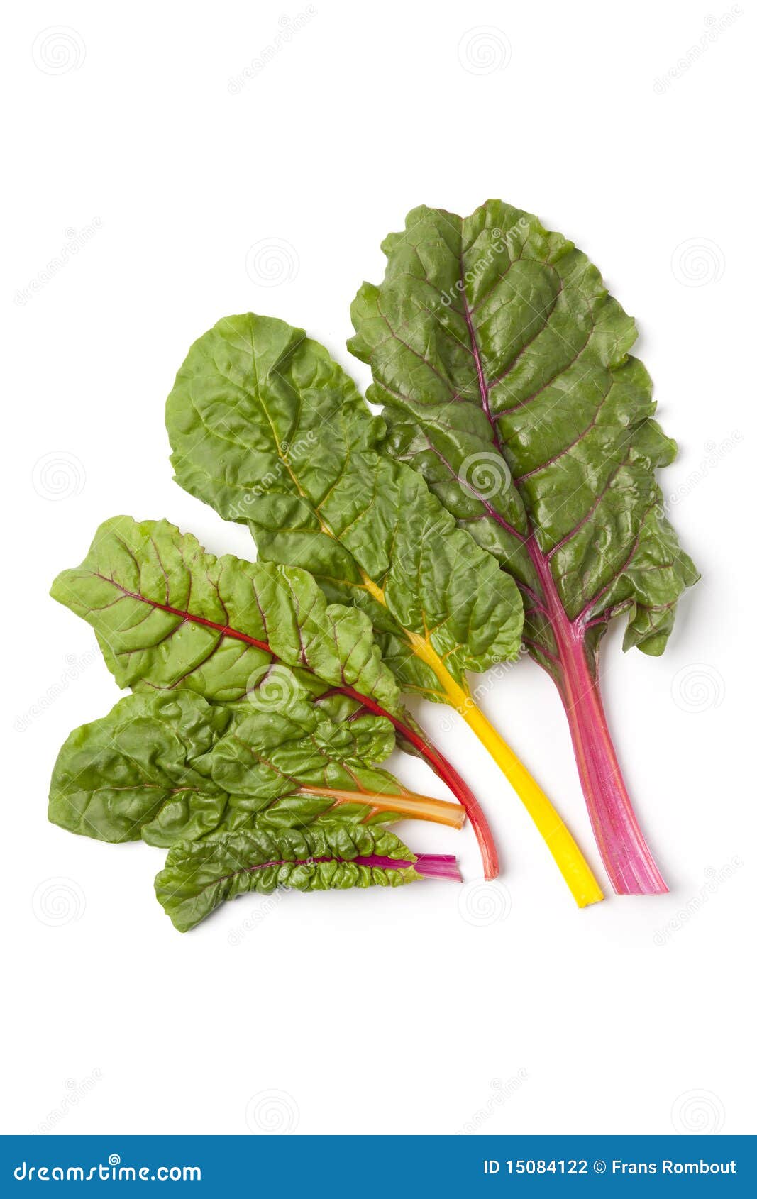 205 Chard Colors Photos - Free & Royalty-Free Stock Photos from Dreamstime