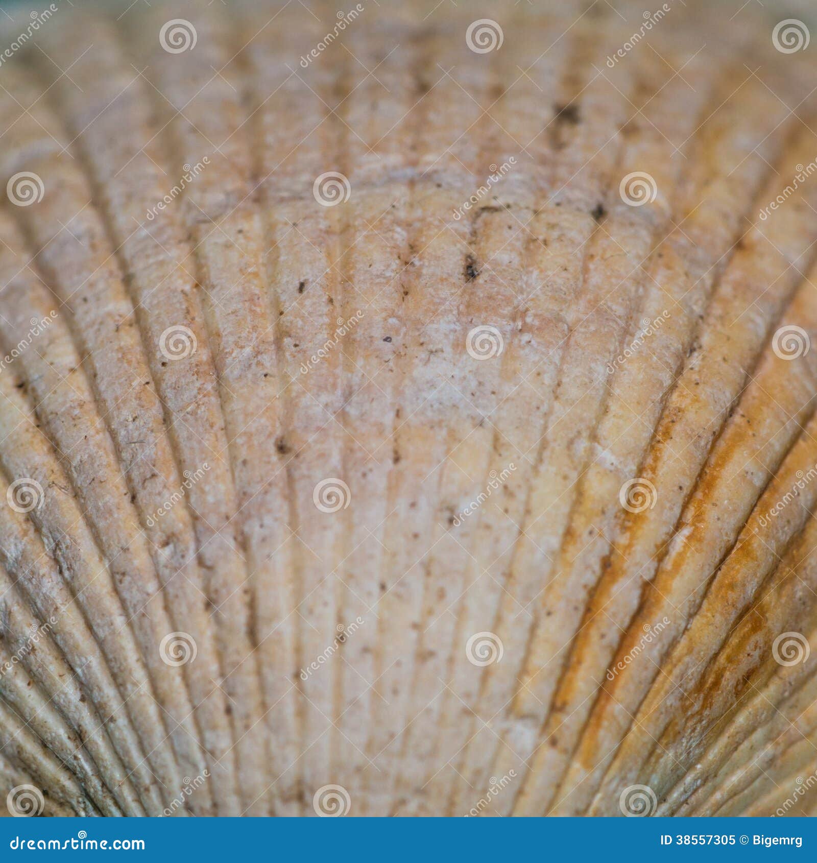 Fan Like stock image. Image of geometrical, square, pattern - 38557305