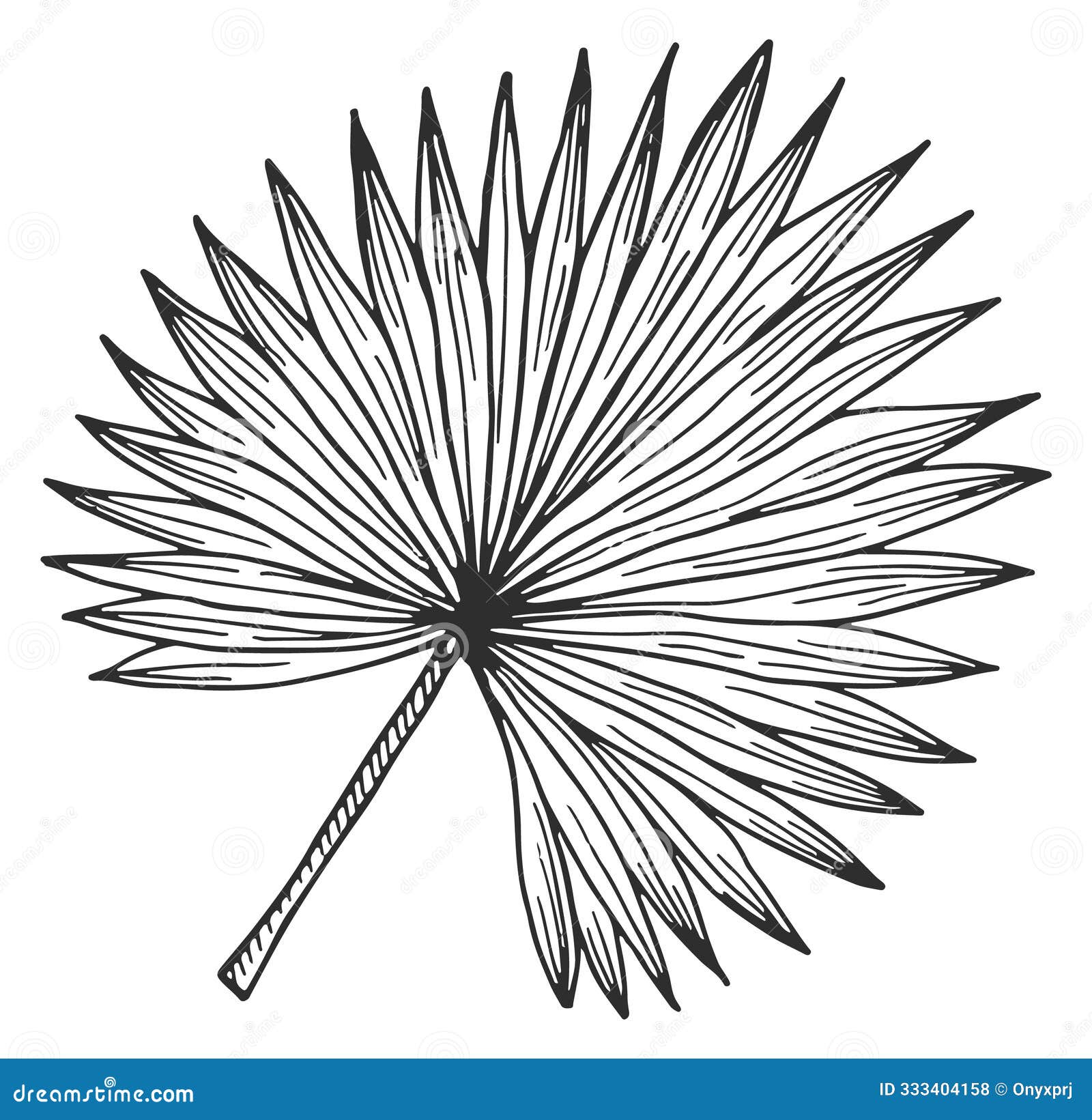 Fan Palm Leaf Sketch. Floral Drawing Element Stock Vector ...