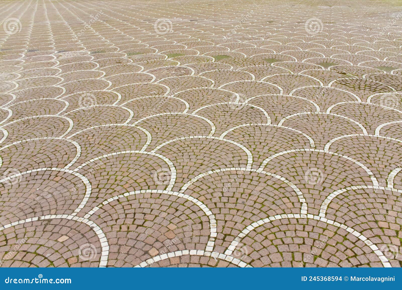 Fan shaped ground tiles stock photo. Image of ground - 245368594