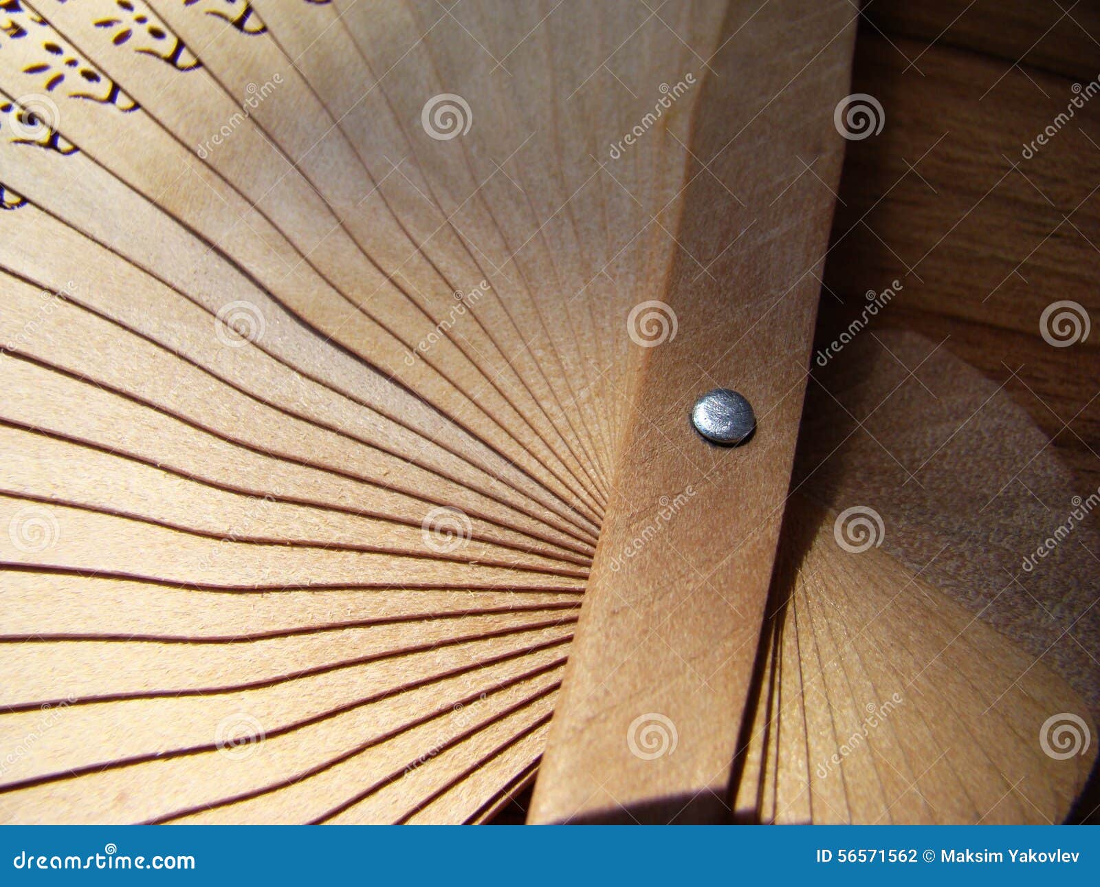 Fan stock photo. Image of pattern, petals, structure - 56571562