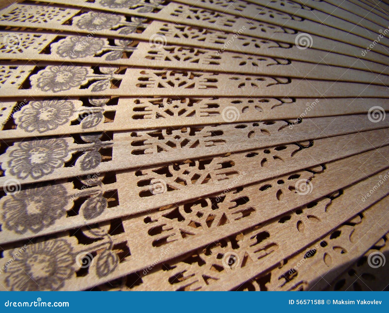 Fan stock photo. Image of texture, petals, line, sequence - 56571588