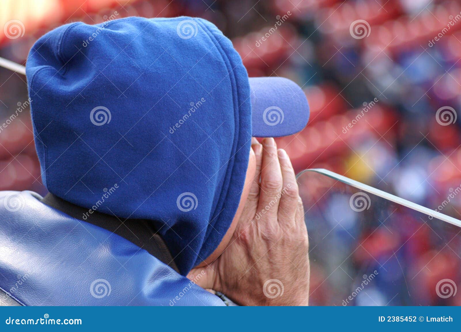 Fan Yelling stock photo. Image of royal, colorful, shout - 2385452