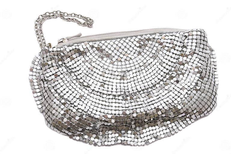 Fancy-bag stock photo. Image of fancy, accessory, evening - 10050314