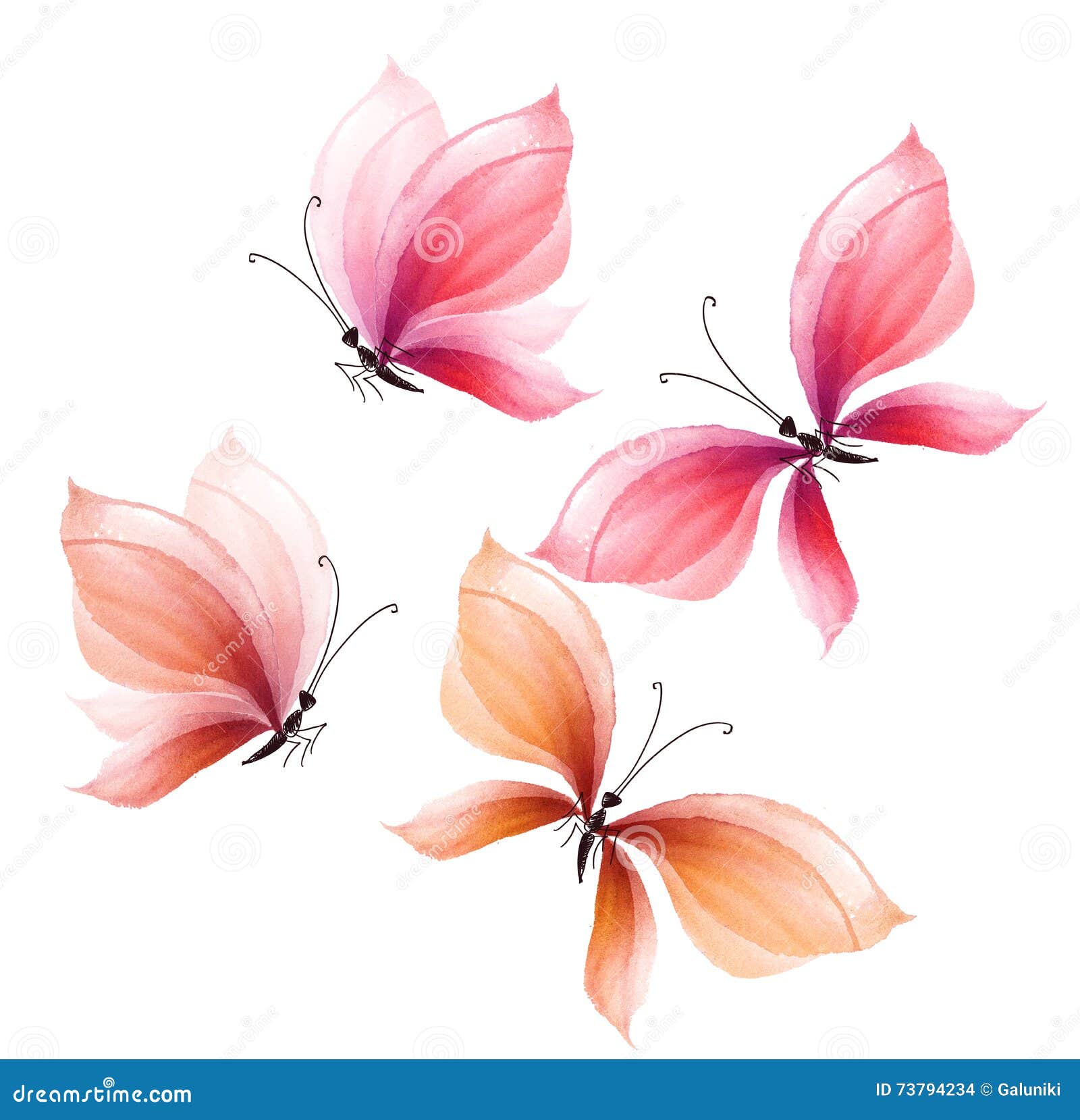 Fancy Butterfly Design Elements Set. Hand Drawn Illustration Stock ...