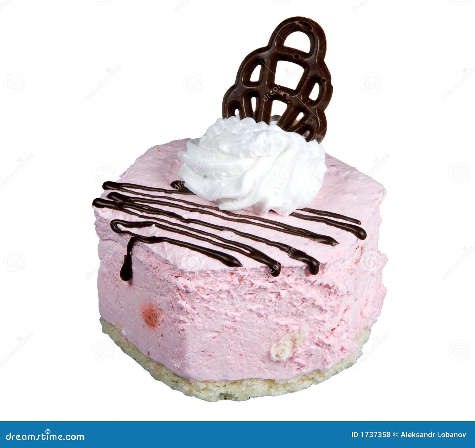 Fancy cake stock photo. Image of food, icing, baking, sugar - 1737358