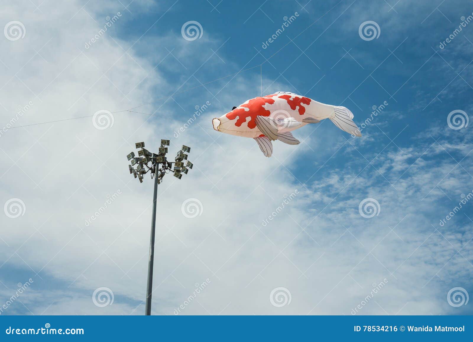 Fancy Carp Fish Shaped Kite Flying in Blue Cloudy Sky Stock Photo ...