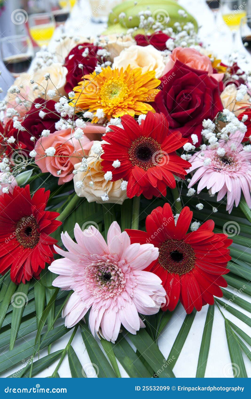 Fancy Daisy Display stock image. Image of leaf, pretty - 25532099