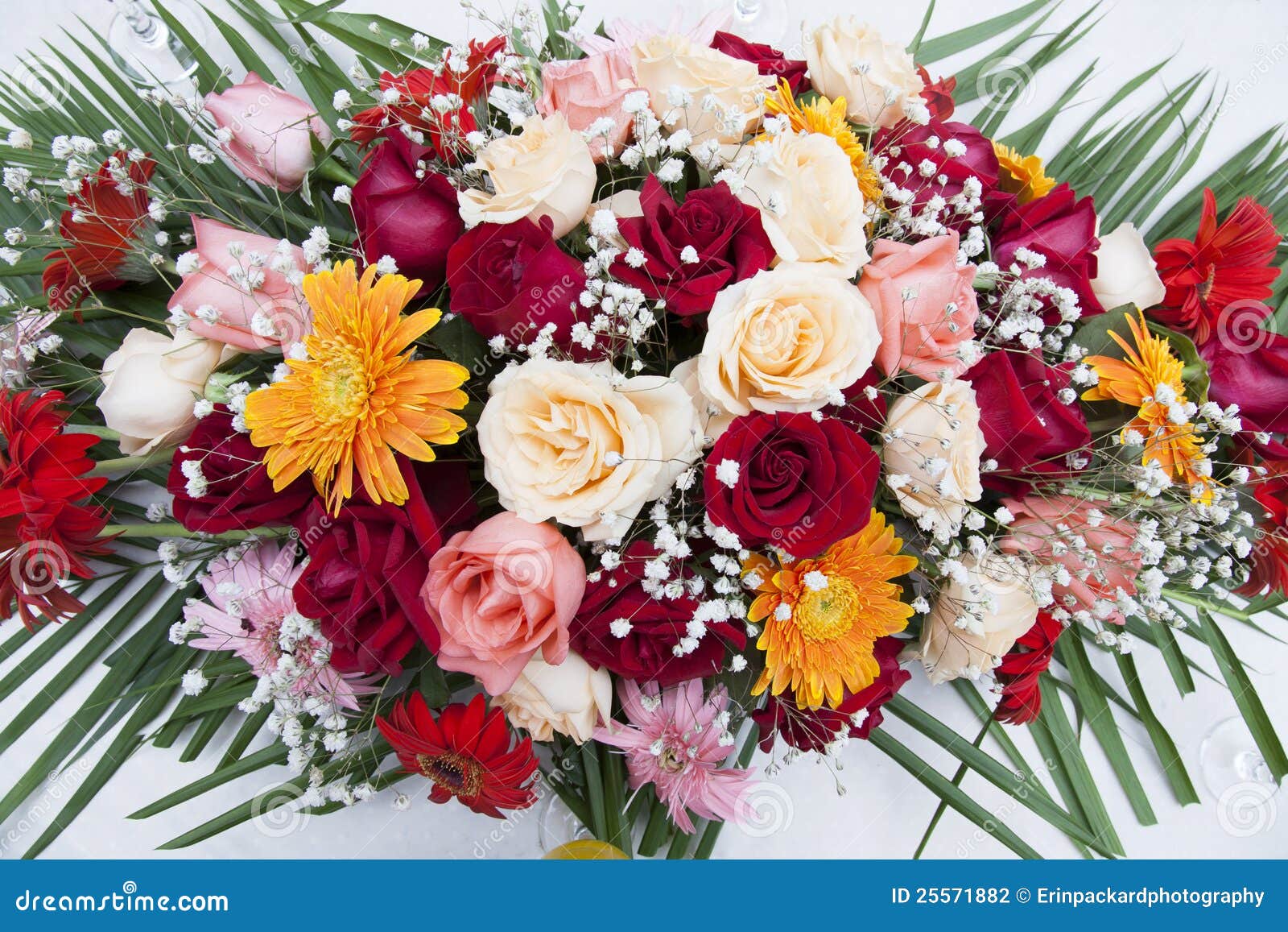 Fancy Daisy and Rose Display Stock Photo - Image of pink, color: 25571882