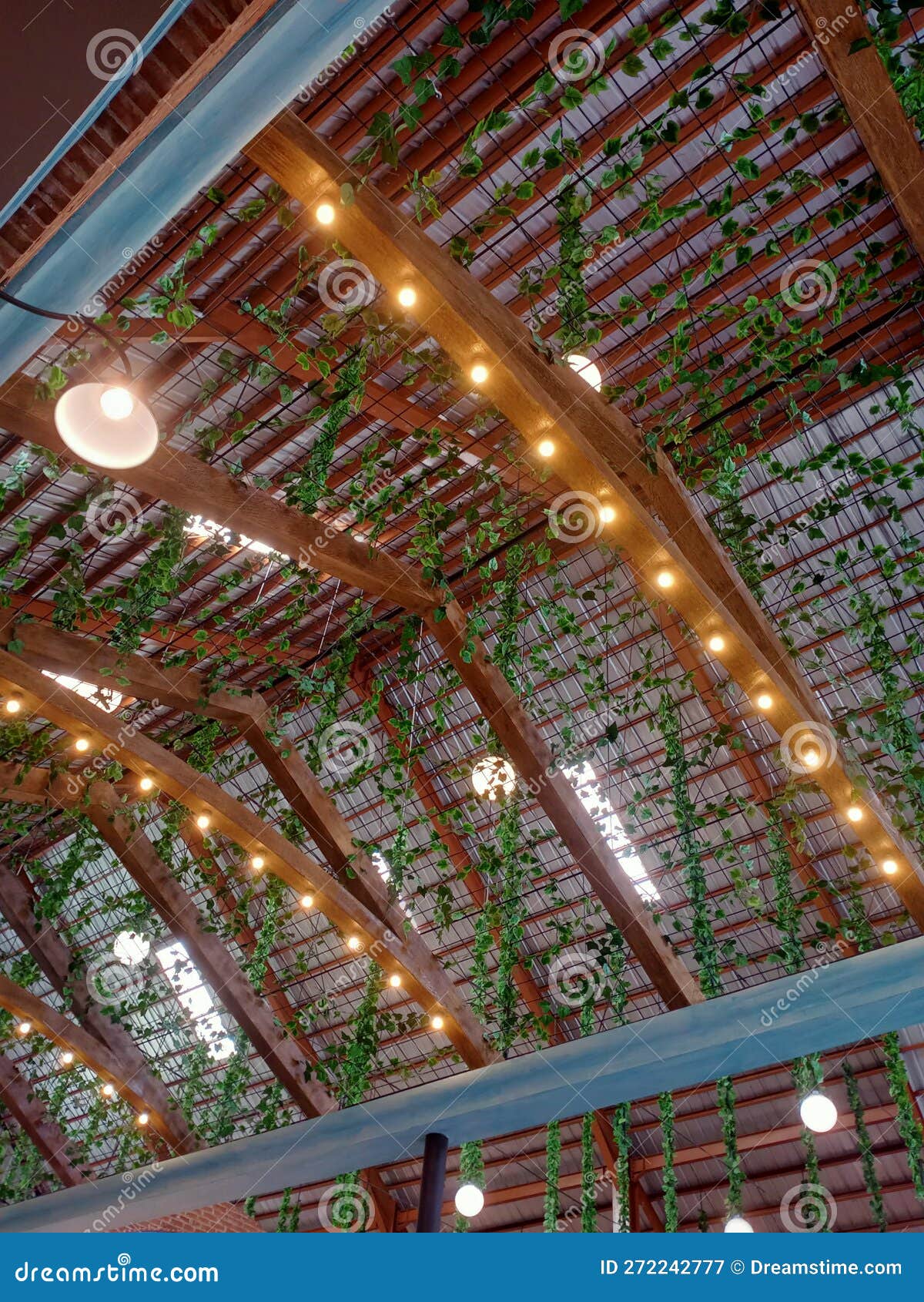 A Fancy Decorated Ceiling stock image. Image of light - 272242777