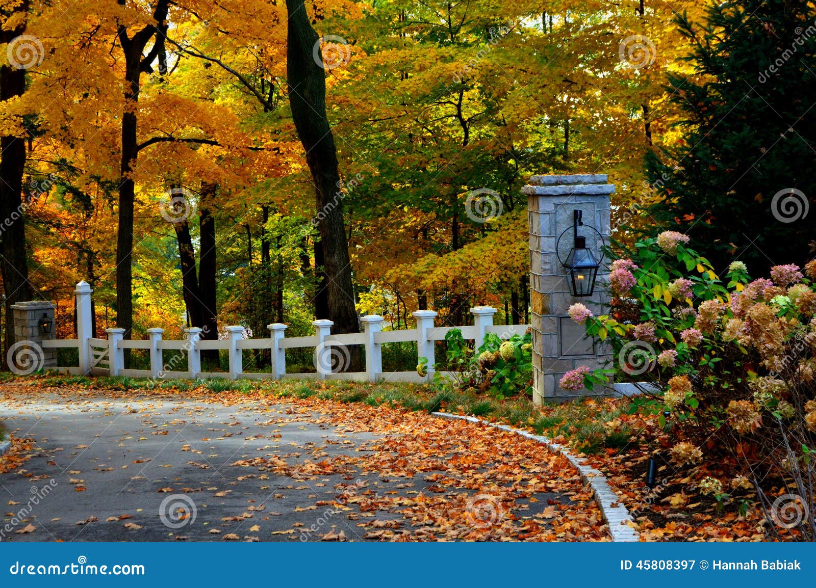 Fall Driveway stock image. Image of lake, fencing, country - 45808397