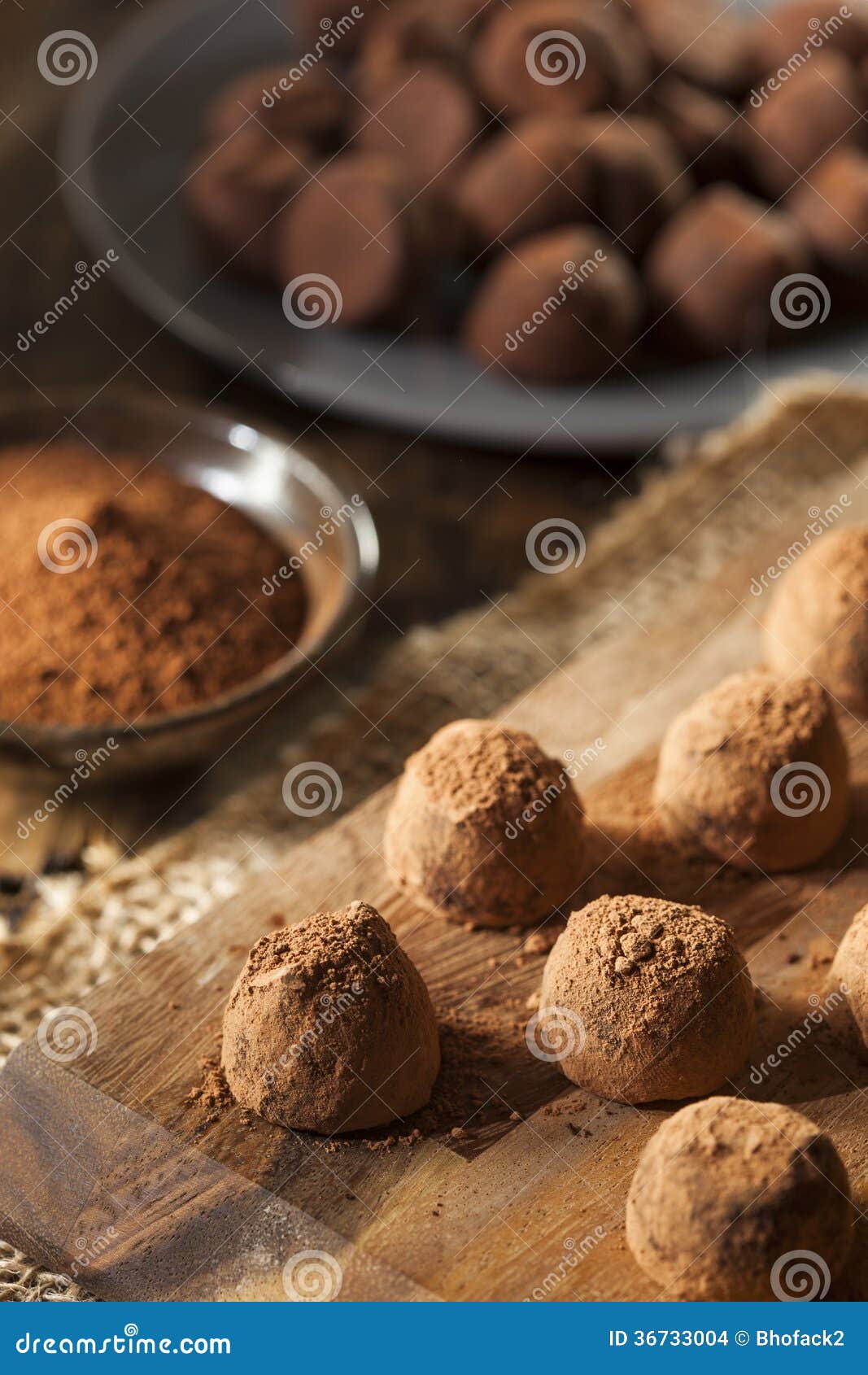 Fancy Gourmet Chocolate Trufffles Stock Photo - Image of dessert, milk ...