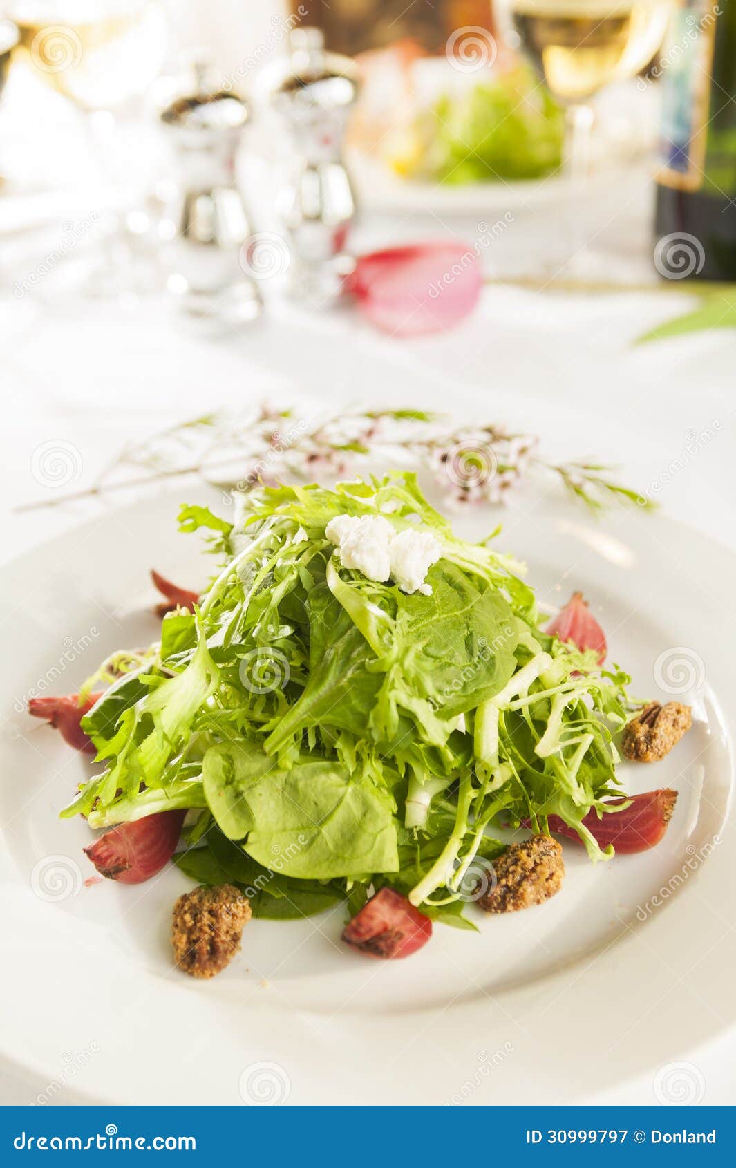 Fancy Healthy Salad on a White Plate. Stock Image - Image of drinks ...