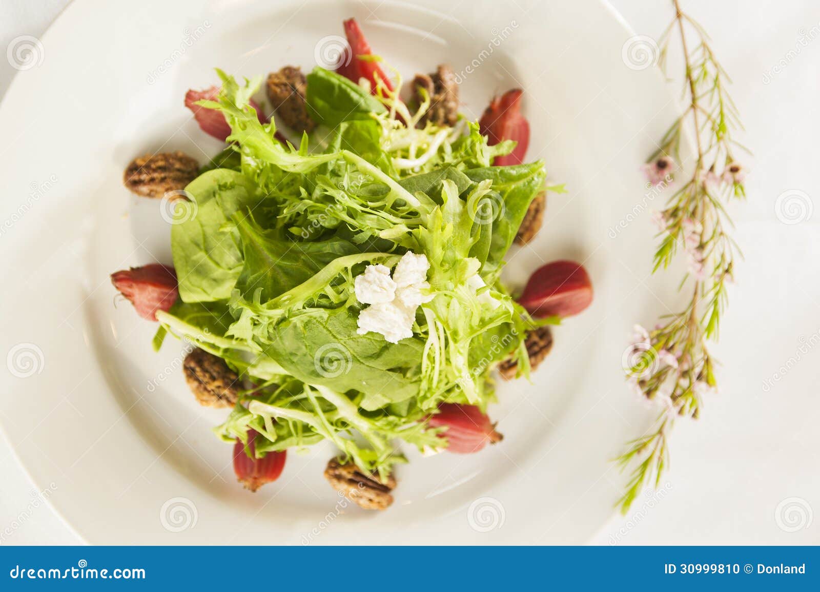 Fancy Healthy Salad on a White Plate. Stock Photo - Image of french ...