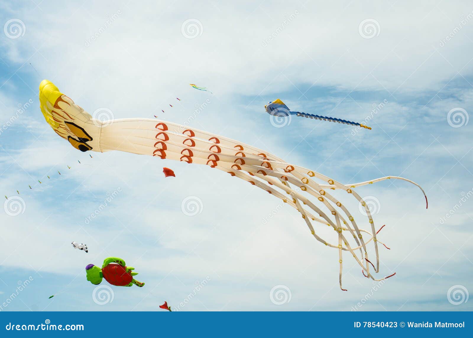 Fancy Kites in Octopus Shaped on Cloudy Blue Sky Stock Image - Image of ...