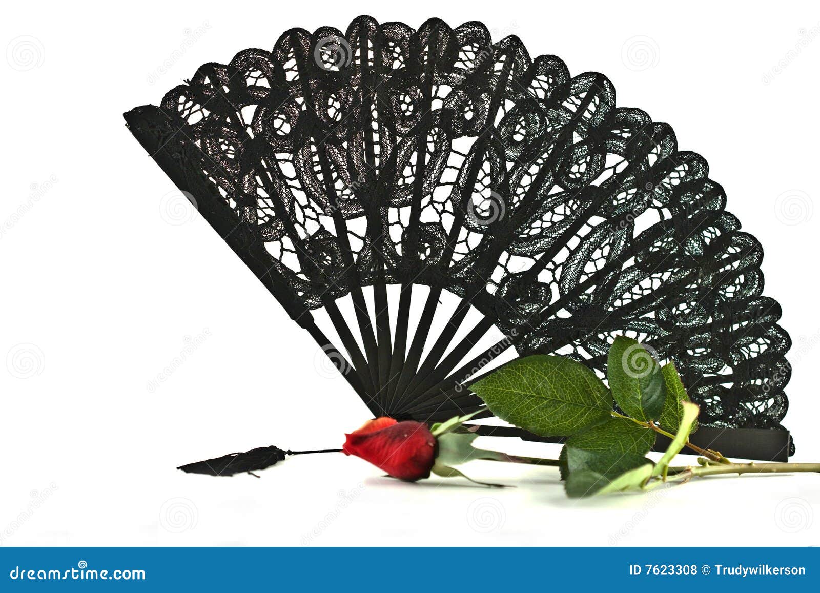 Fancy Lace Fan stock photo. Image of leaves, lace, flower - 7623308
