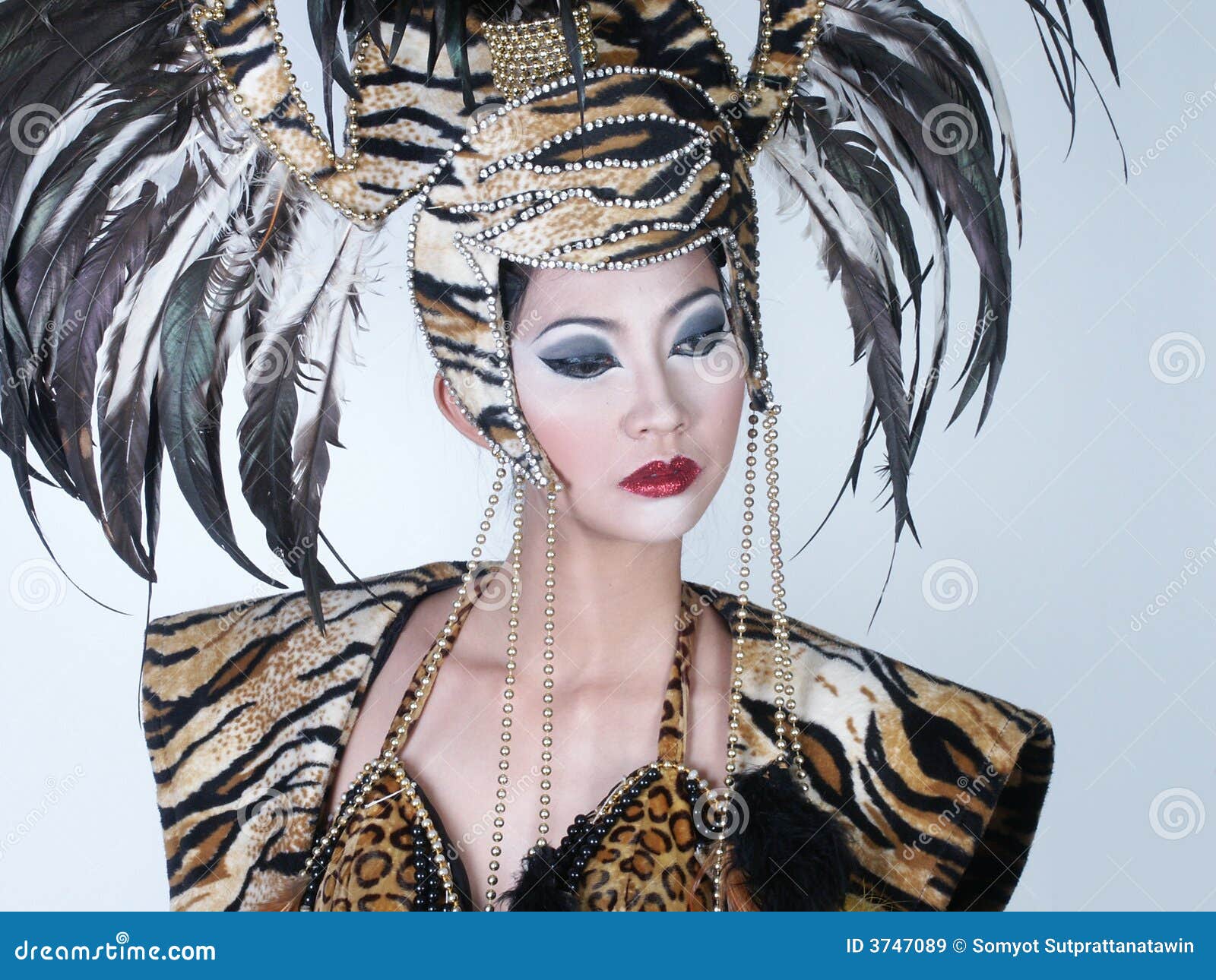 Fancy lady tiger leather stock image. Image of girl, asian - 3747089