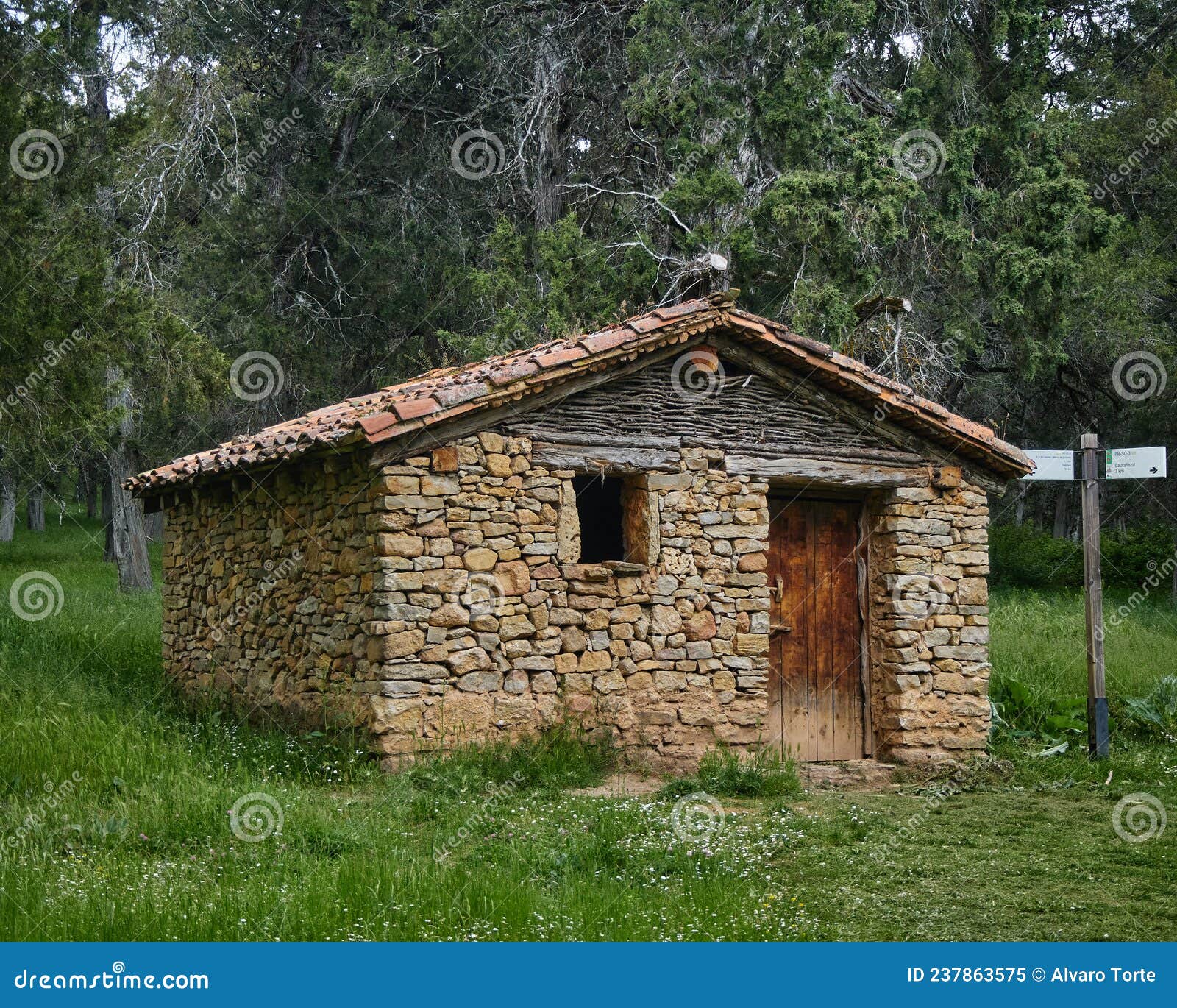 Fancy, Old and Stone House in the Forrest Stock Image - Image of wild ...