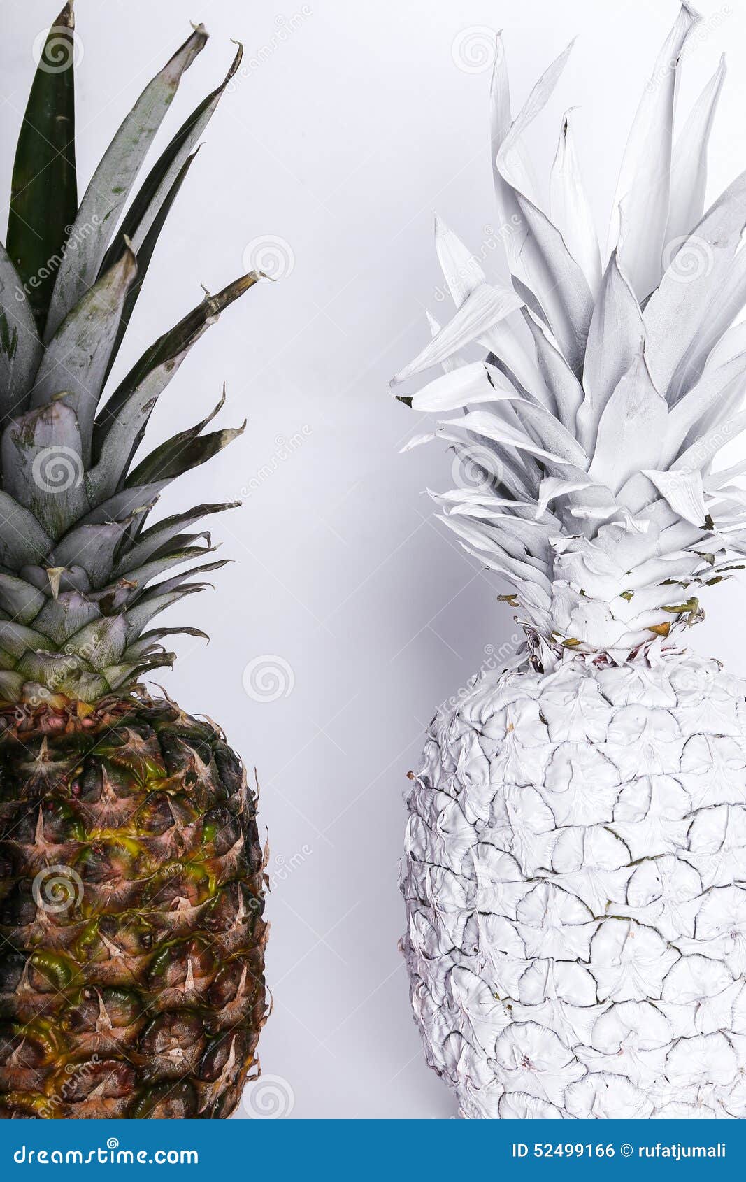 Fancy pineapple stock photo. Image of color, fresh, healthy - 52499166