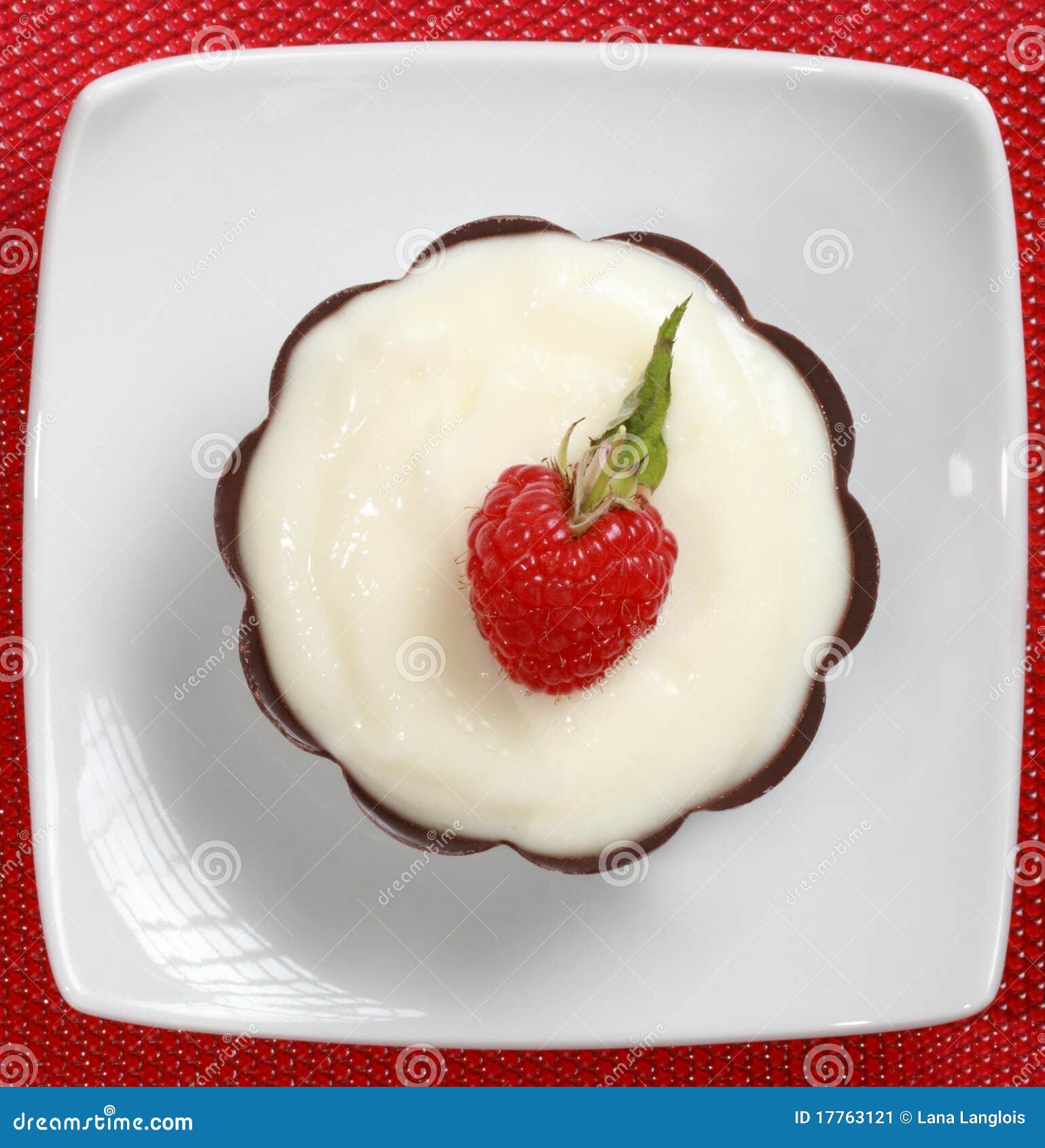 Fancy pudding dessert stock image. Image of single, lactose - 17763121