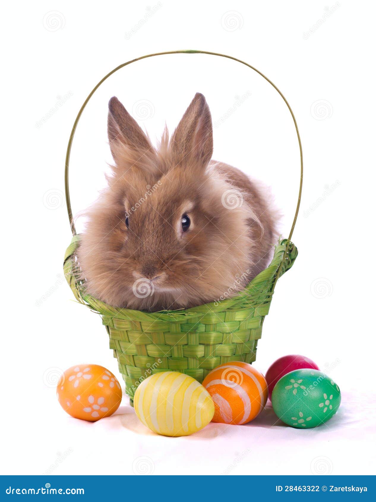 Fancy rabbit in the basket stock photo. Image of portrait - 28463322