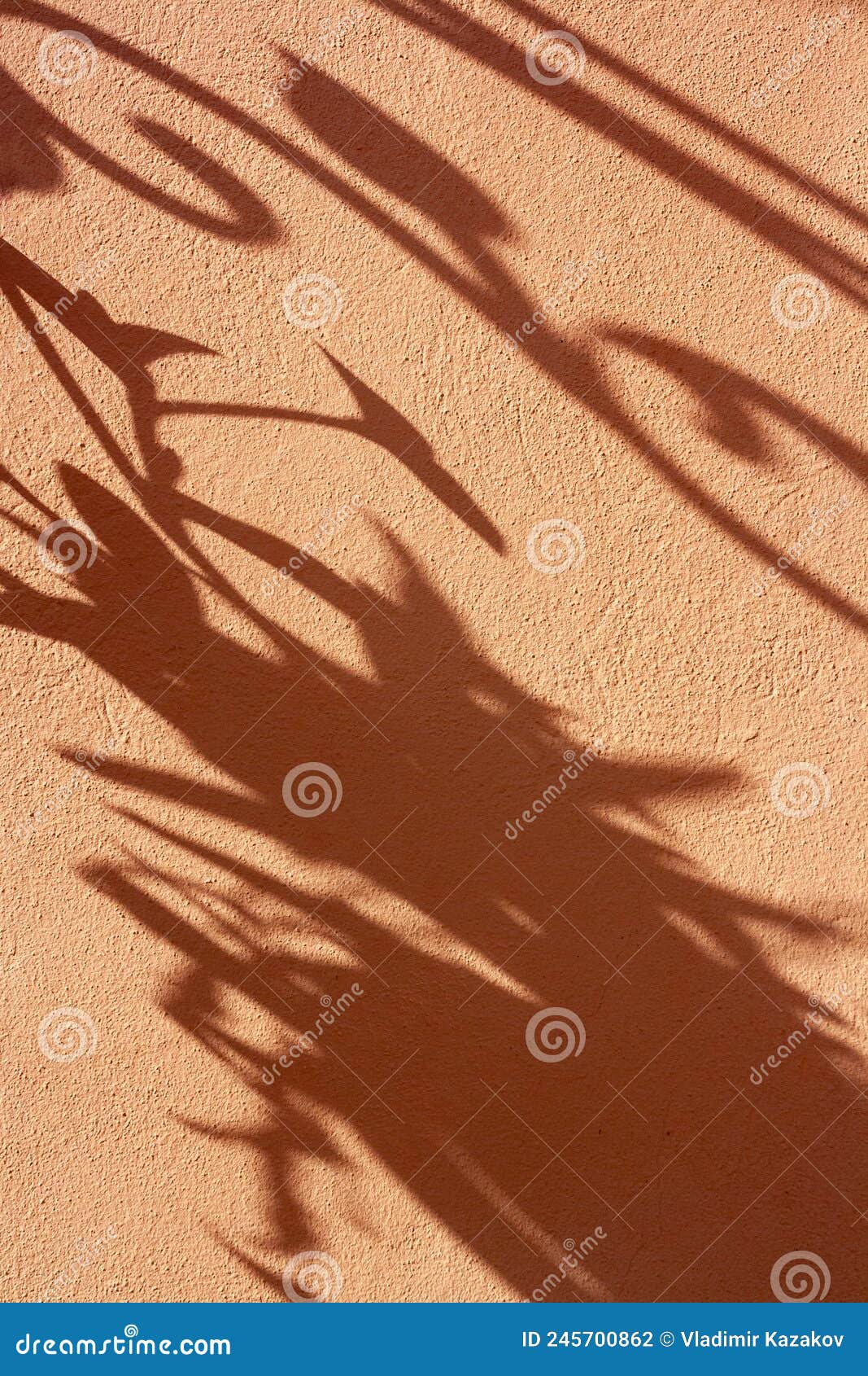 Fancy Shadow on the Wall. Vertical Oriantation Stock Photo - Image of ...