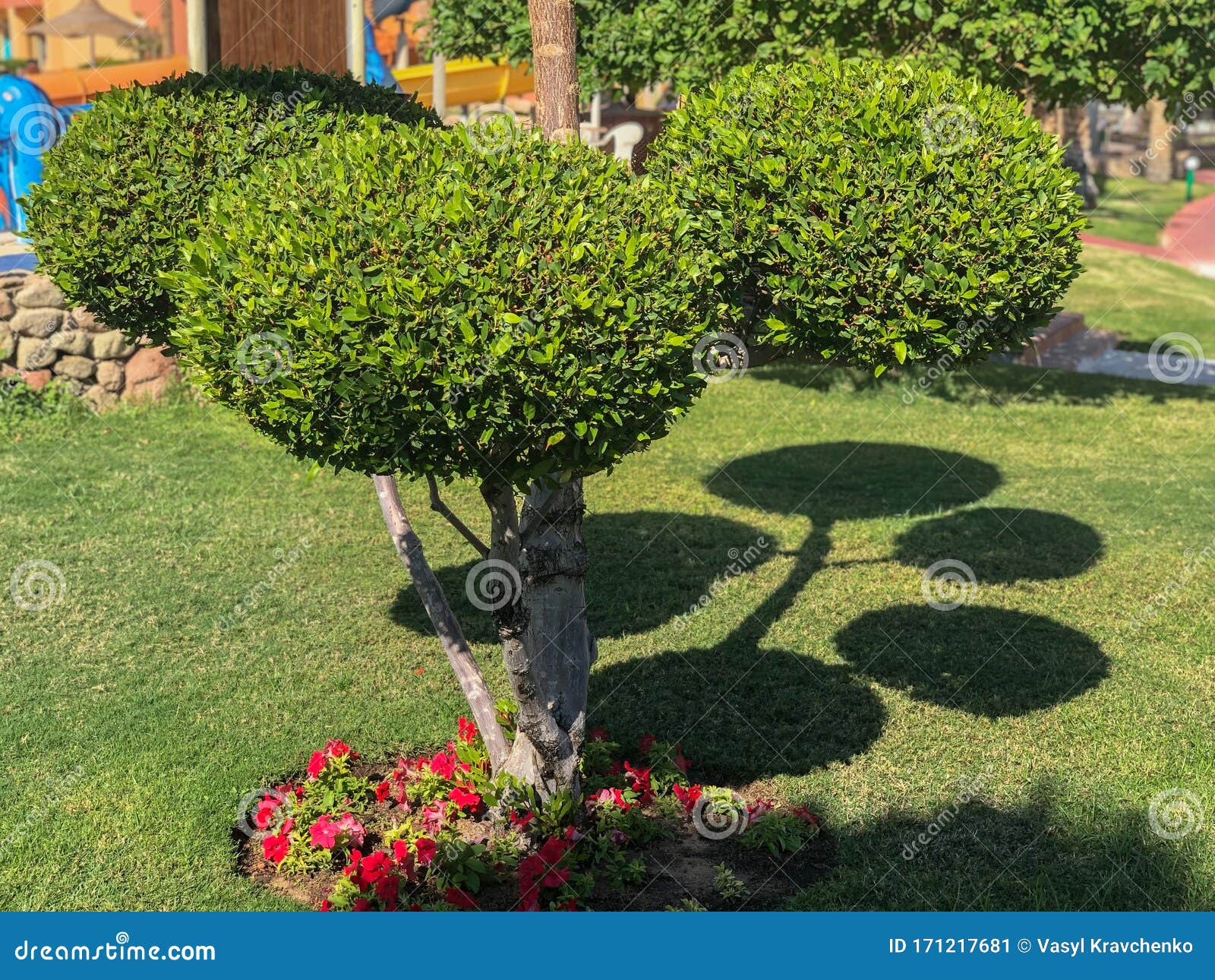 Fancy Shaped Decorative Tree Stock Photography | CartoonDealer.com ...