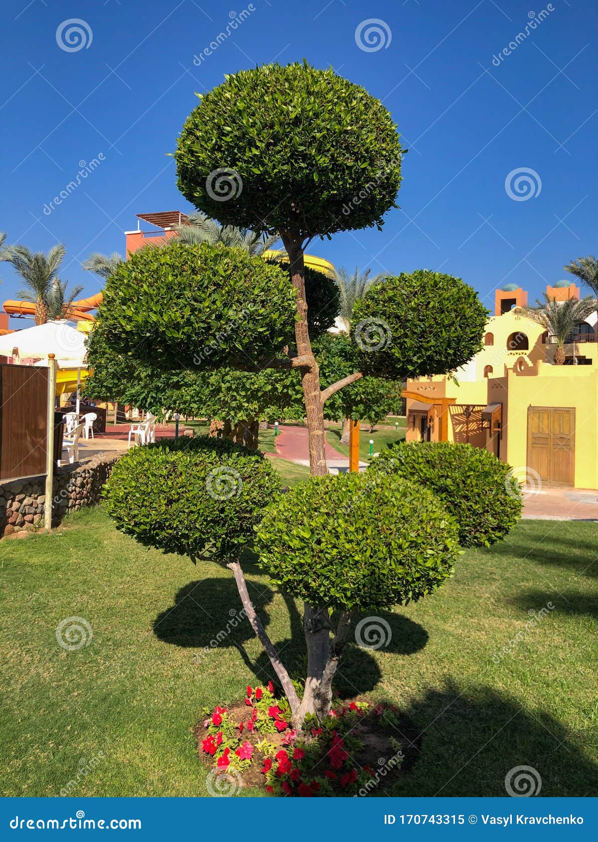 Fancy Shaped Decorative Tree Stock Photography | CartoonDealer.com ...