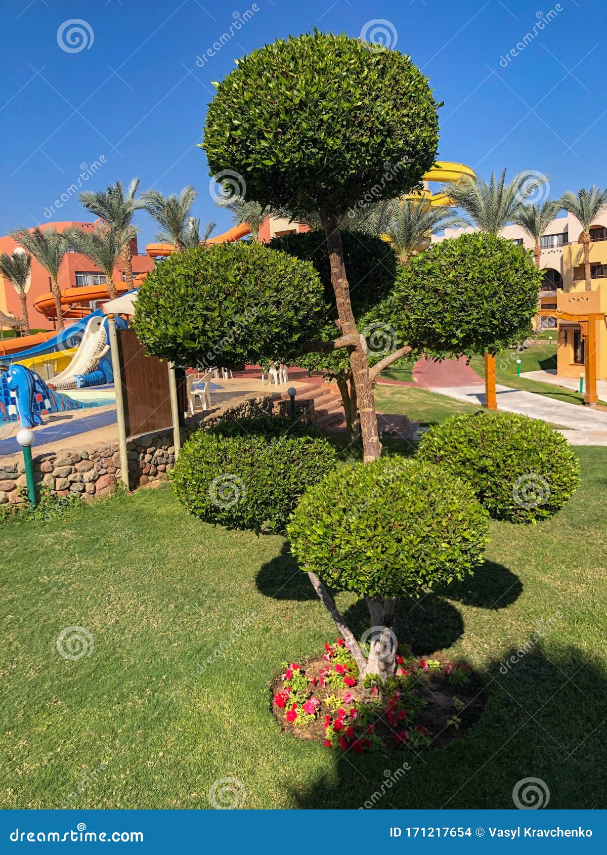 Fancy Shaped Decorative Tree on Playground Background Stock Photo ...
