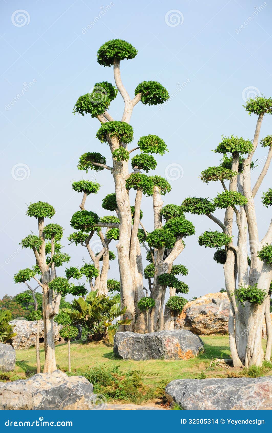 Fancy Shaped Decorative Tree Stock Photo - Image of round, culture ...