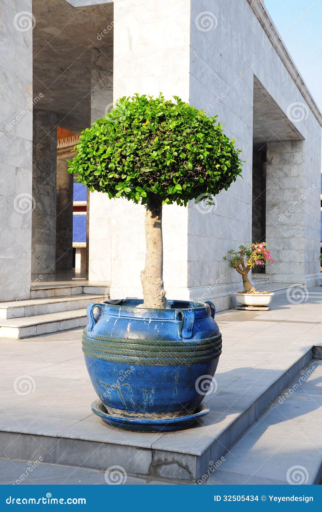 Fancy Shaped Decorative Tree Stock Photo - Image of asian, style: 32505434