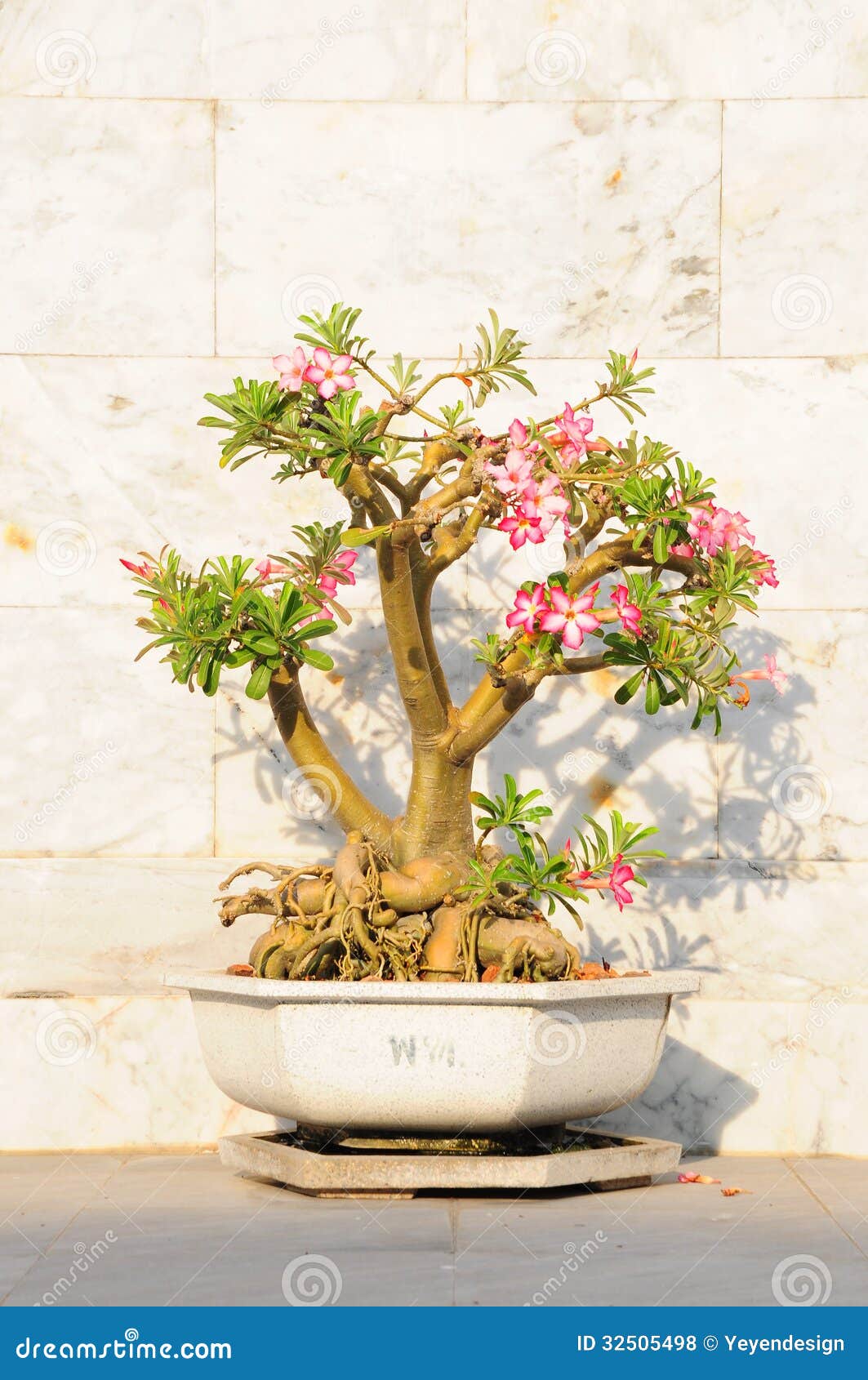 Fancy Shaped Decorative Tree Stock Photography | CartoonDealer.com ...