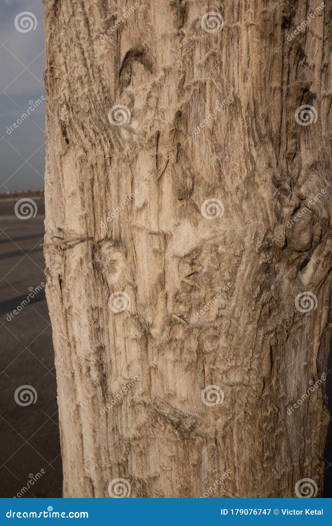 Fancy Texture of Ancient Wooden Pillars Covered with Salt Particles ...